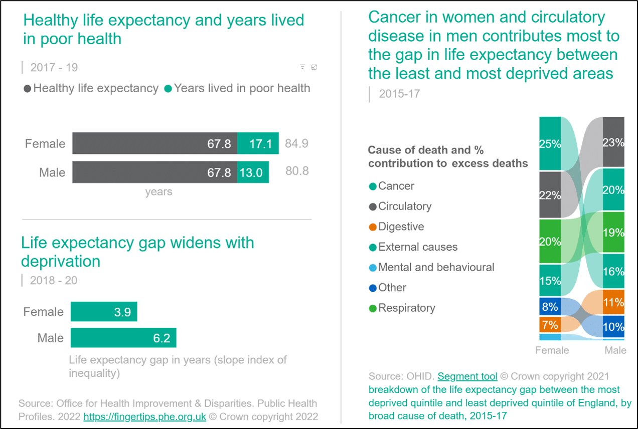Annual Public Health Report 2022-23 - Devon Health and Wellbeing