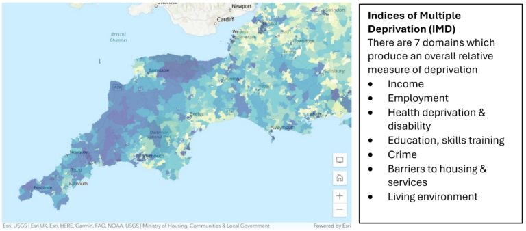 Poverty in Devon 2024 - Devon Health and Wellbeing